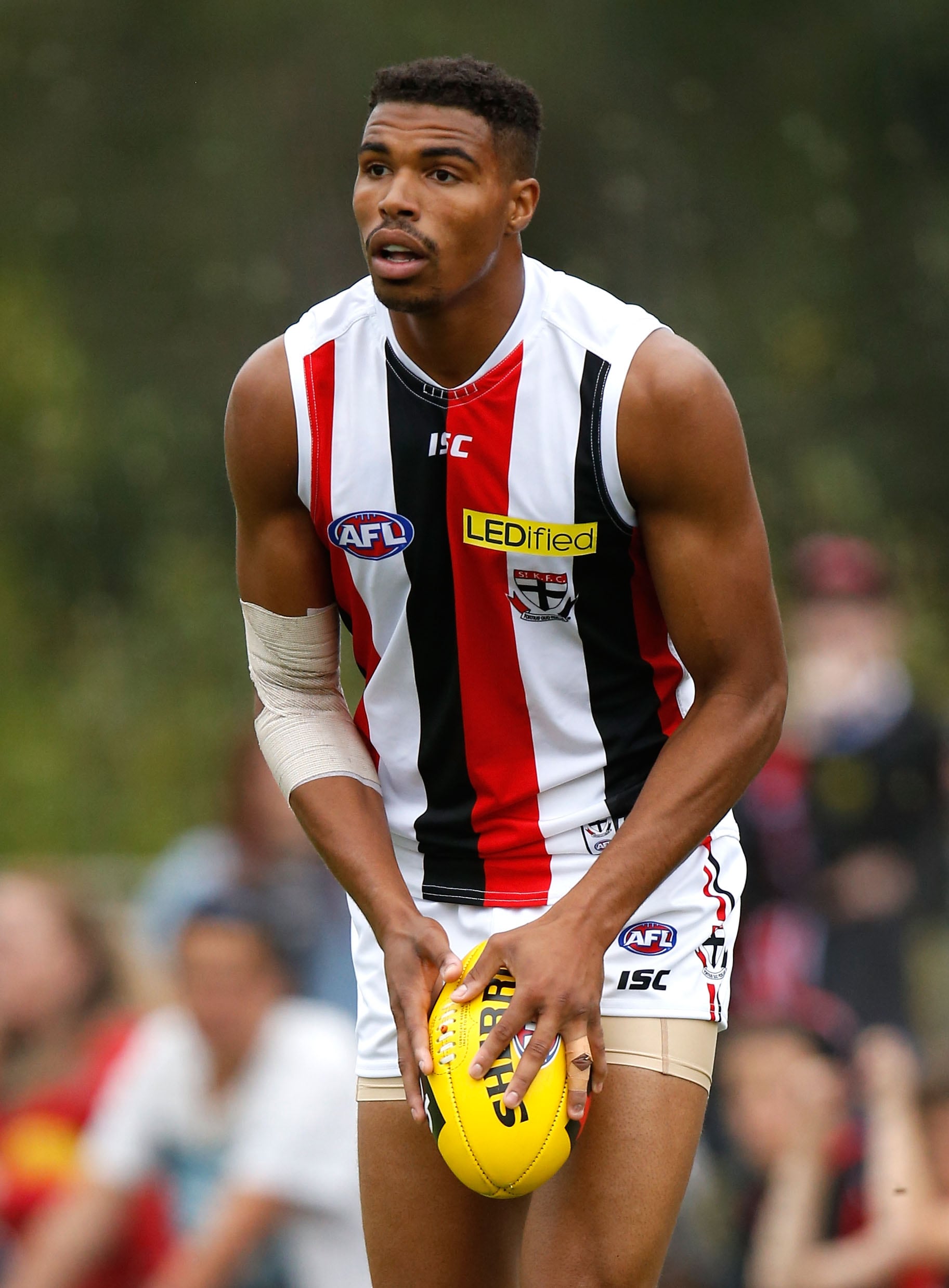 VFL preview: Round 11