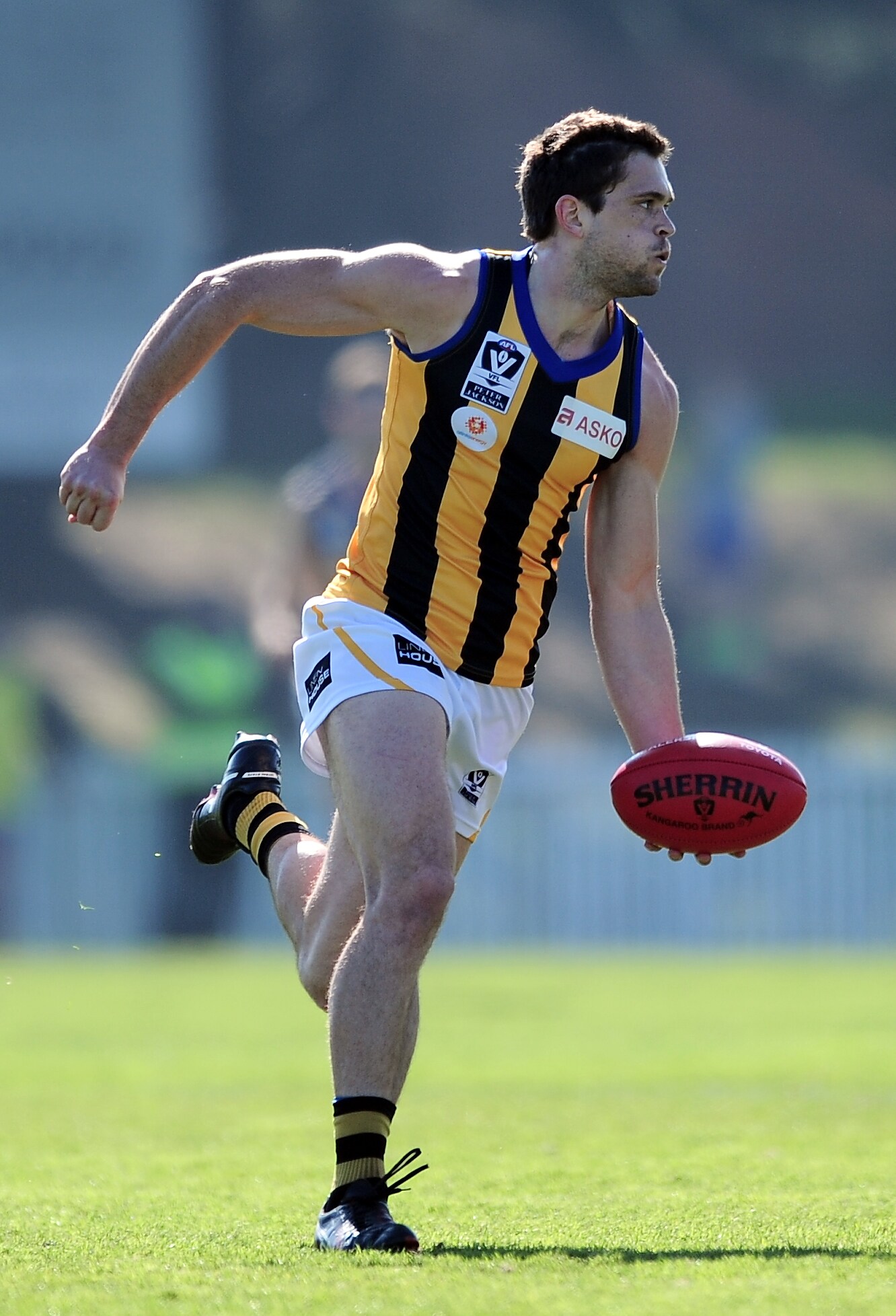 VFL preview: Sandringham vs Richmond