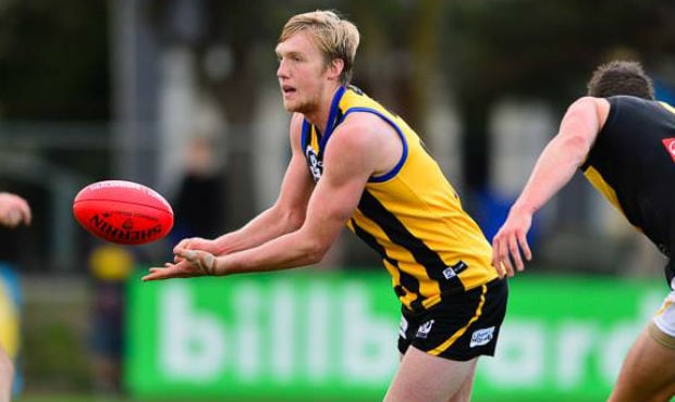 VFL preview: Round 9