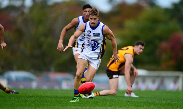 VFL: Zebras fall to Hawks in season opener