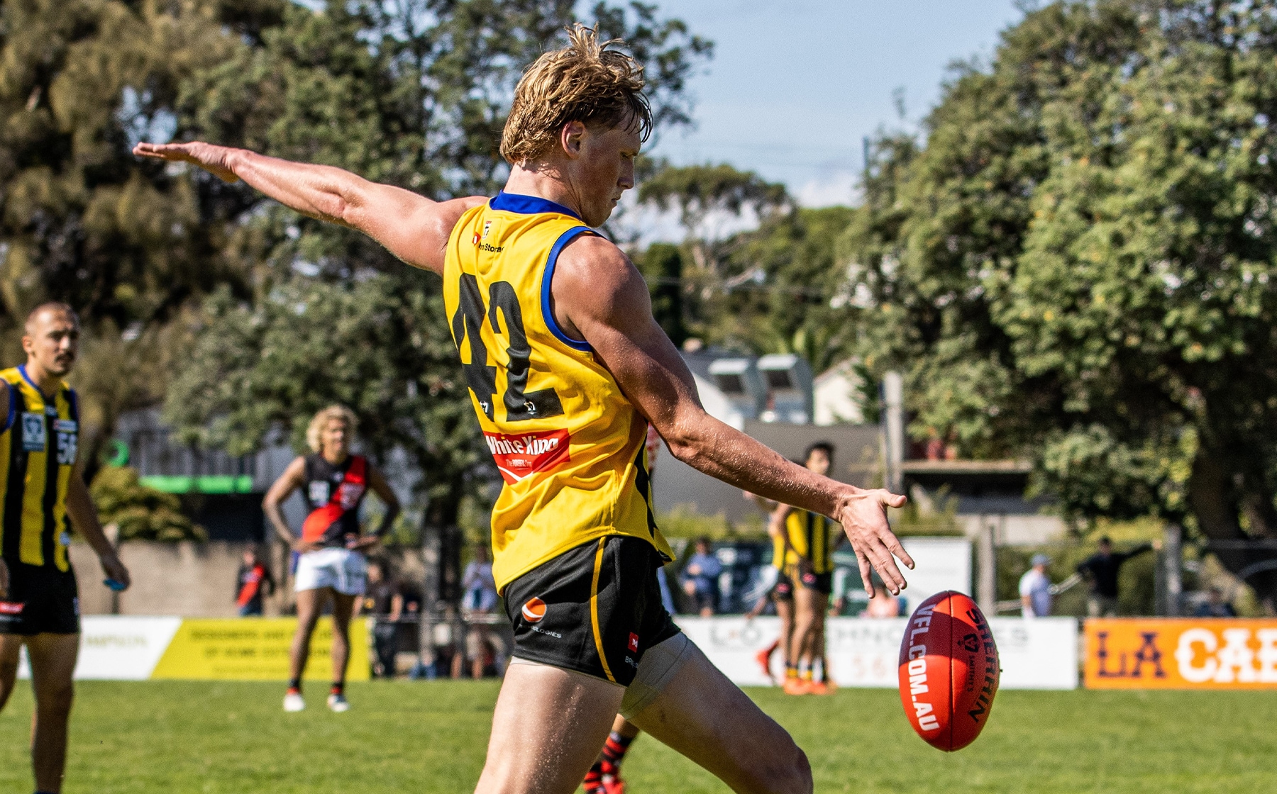 Spruce Moose, Bytel get the Zebras humming over Bombers