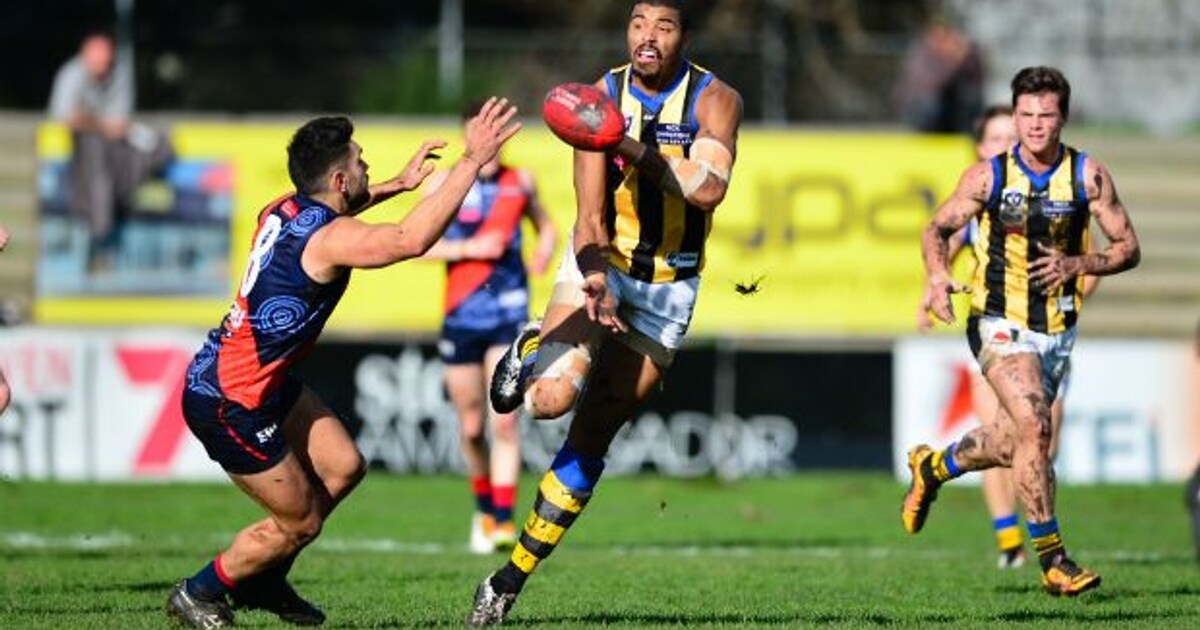 VFL Player Breakdown: Round 14 v Coburg