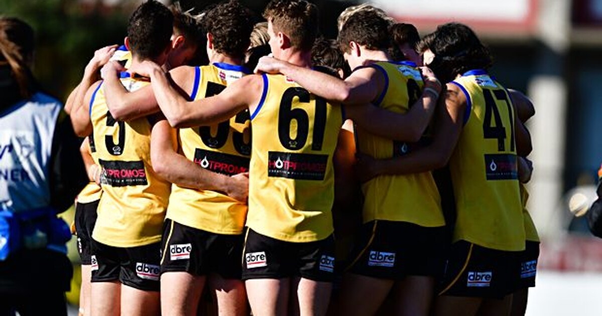 VFL Preview: Round 16 v Richmond