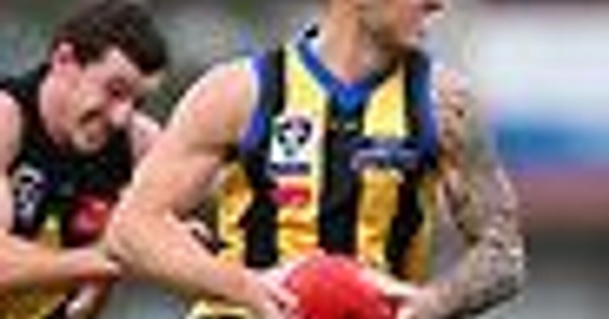 VFL Player Breakdown: Round 9 v Geelong