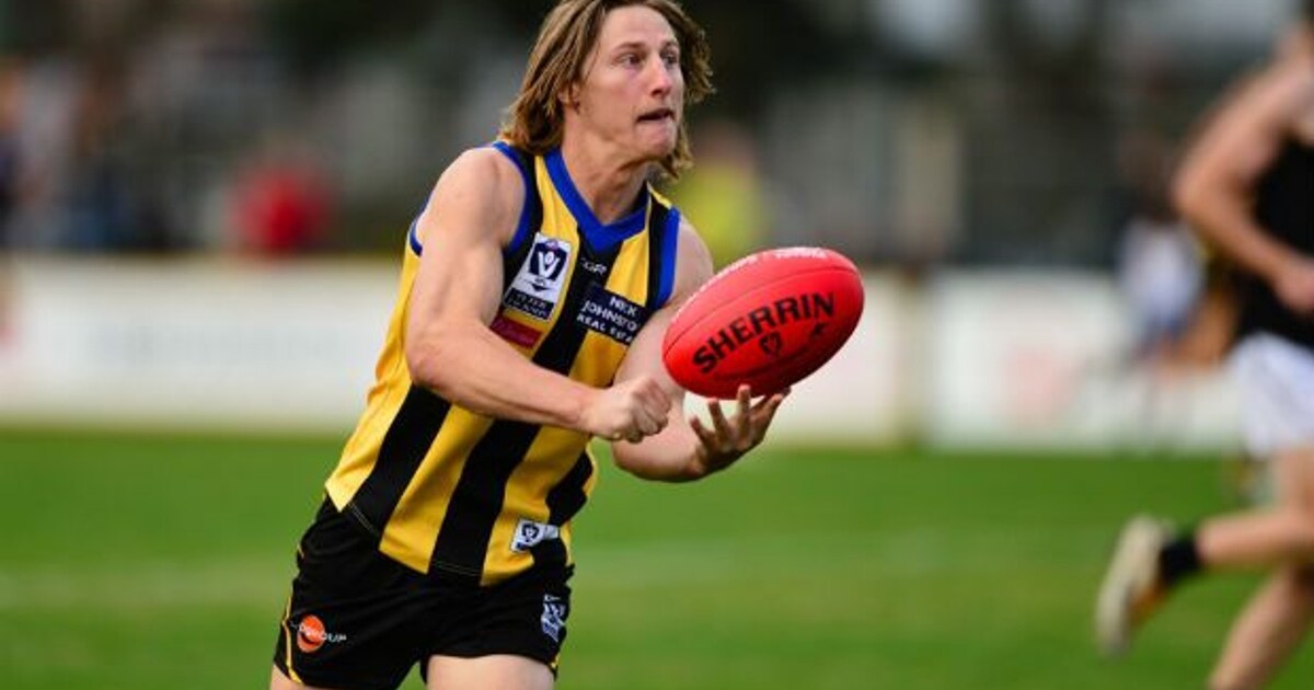 Sandringham Zebras Best & Fairest Preview: Contenders