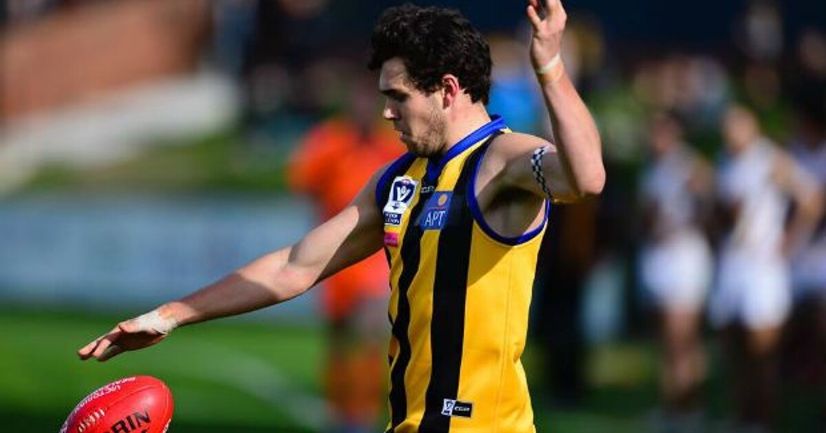 VFL preview: Sandringham vs Werribee