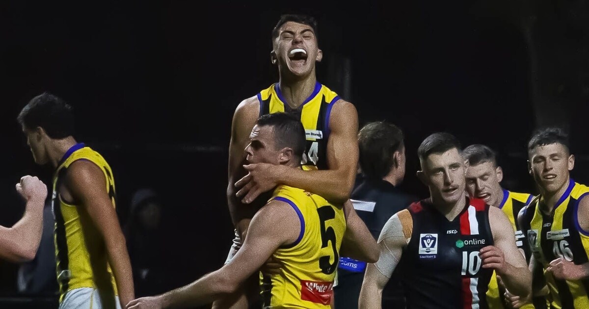 VFL Player Review: Midfield bulls thrive in wet, Hall's immediate impact